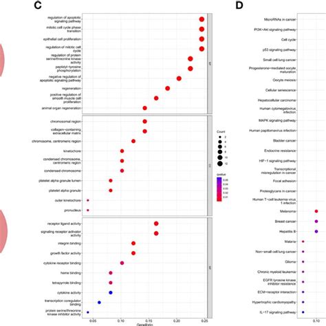 Functional Analysis Based On The Degs Between The Two Risk Groups In Download Scientific
