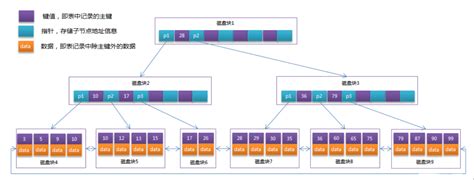 mysql索引深度解析：聚簇与二级索引 csdn博客
