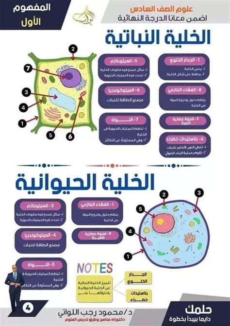 أسماء دروس منهج الصف السادس الابتدائي الجديد 2024 علوم شبابيك