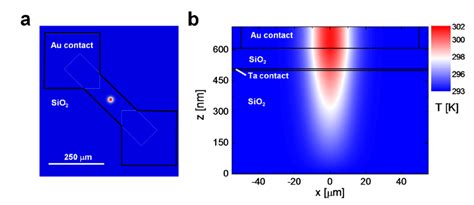 Comsol Simulation On The Larger Length Scale To Illustrate The