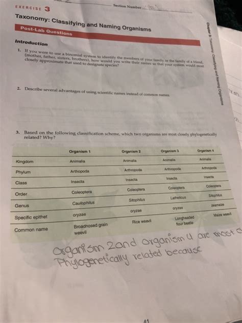 Solved Exercise 3 Section Numbers Taxonomy Classifying And