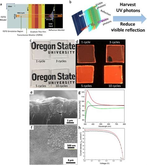 A Fdtd Simulation Model B Optical Images With Different Download Scientific Diagram