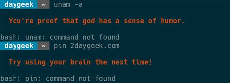 Bash Insulter A Script That Insults An User When Typing A Wrong Command 2daygeek