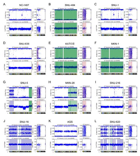 An Illustration Of B Allele Frequency BAF Upper Panel And Log R Download Scientific Diagram