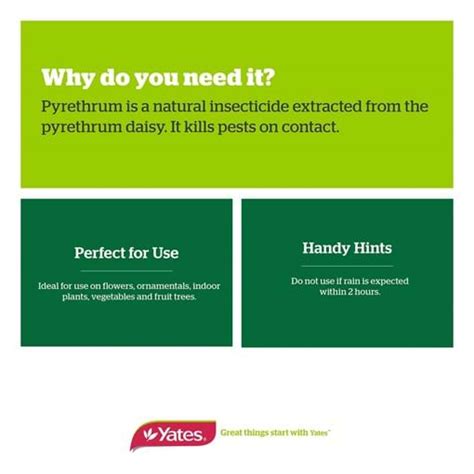 Yates 200ml Pyrethrum Insect Pest Killer Concentrate
