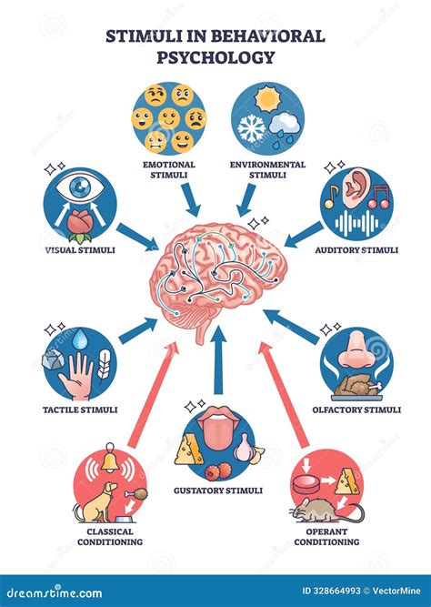 Behaviorism Or Behavioral Perspective Psychology Educational Vector