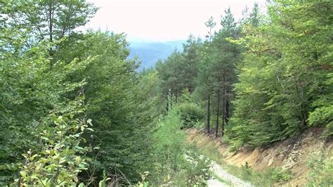 Рудозем Youtube