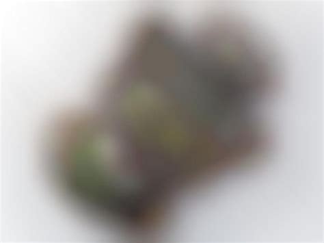 Foraged Forest Jewelry Erin Larocque