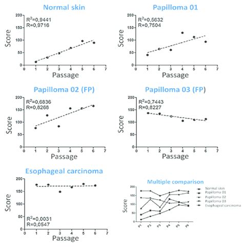 Linear Regression Of Comet Score Download Scientific Diagram