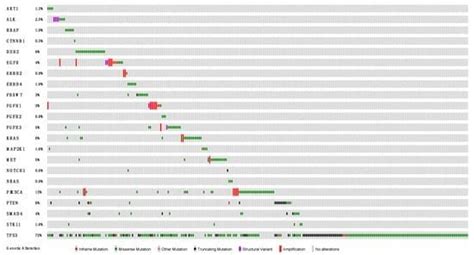 Expanding Broad Molecular Reflex Testing In Non Small Cell Lung Cancer To Squamous Histology R