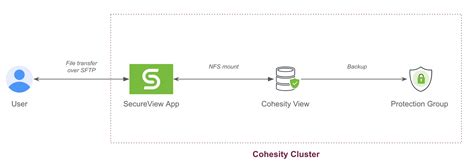 Cyber Resilience For Vmware Cloud Foundation Cohesity