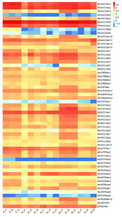 Expression Of Genes Involved In Srna Biogenesis And Regulatory Pathways Download Scientific