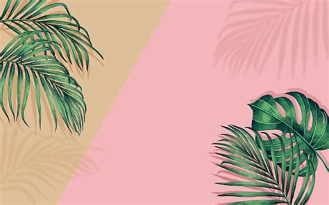 수채화 프레임 코코넛 잎 괴물 손바닥 분홍색에 녹색 잎 모래 색상 배경 수채화 그림 열대 이국적인 잎 카드 디자인 결혼식 초대장 포스터 또는 날짜를 저장합니다 0명에 대한