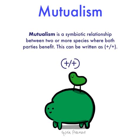 Mutualism — Definition And Examples Expii Mutualism Commensalism