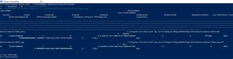 Mock Sql Server Database Docker And Powershell