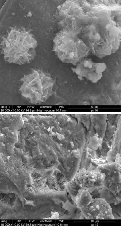 Microscopic Image Of High Performance Concrete C S H Phase