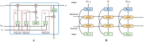 estimation of lower limb joint angles and joint moments during