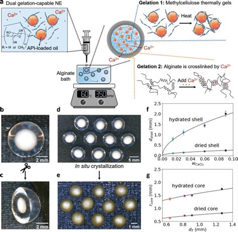 On Linkedin Orthogonal Gelations To Synthesize