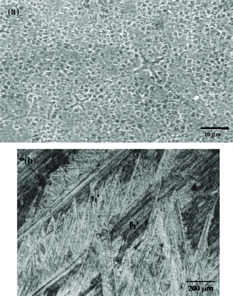 A Sem Micrograph Of The 573 K Aged Alloy A Showing γ 2 Precipitates
