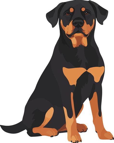 Cute Simple Rottweiler Clipart 52237916 Vector Art At Vecteezy