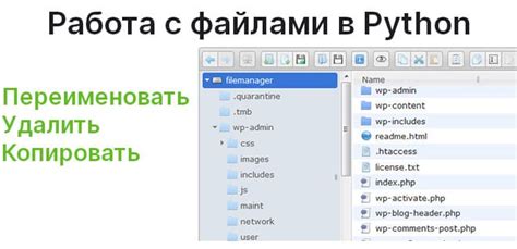 Как переименовать или удалить все файлы с помощью Python