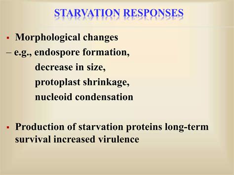 Bacterial Growth Curve Ppt Biological Sciences Science