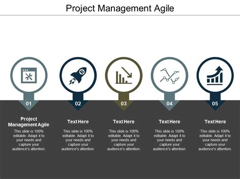 Project Management Agile Ppt Powerpoint Presentation Styles Slides Cpb