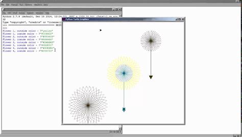 drawing flowers in python youtube