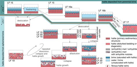 Schematic Development Of Halite Beds For Further Details See Text For