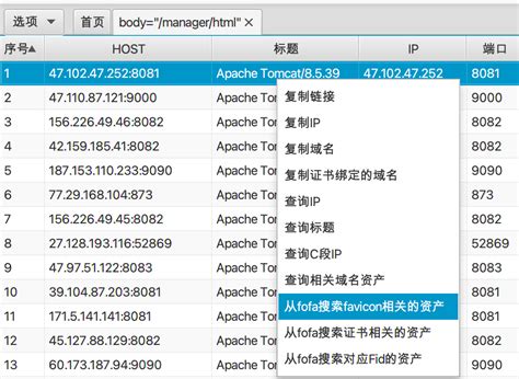 Favicon Hash Bug Issue Wgpsec Fofa Viewer Github