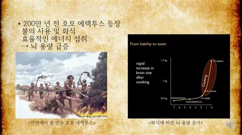변화 2 인류의 이동 Youtube