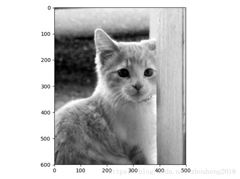 skimage库安装指南 CSDN博客