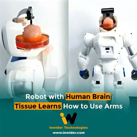 Muhammad Ammar On Linkedin Inwider Dubai Robotics Neuroengineering