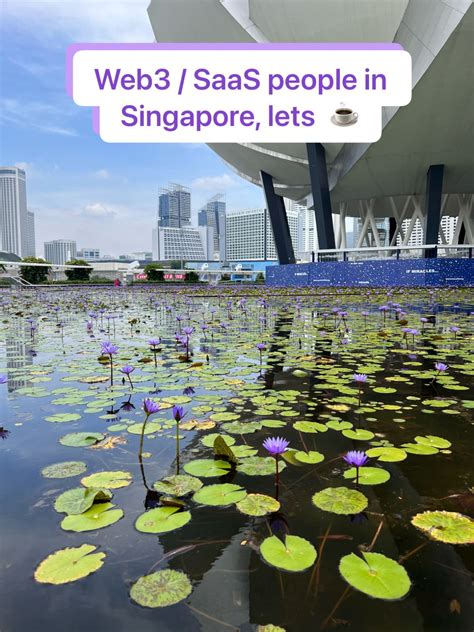 Stefan Lazarevic Auf Linkedin Singapore Token2049 Saas