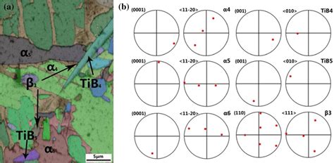 A All Euler Map Of The Rhp Sample And B Corresponding Pole Figures For