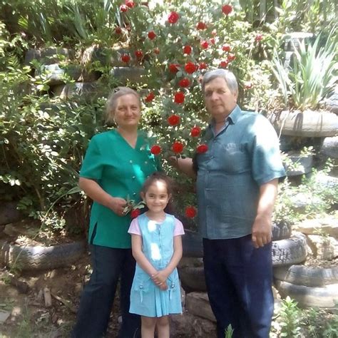 ჩემი 🇯🇵 იაპონიაში არსებობს 12 5 მეტრის სიმაღლის კედელი რომელიც სპეციალურად ცუნამების