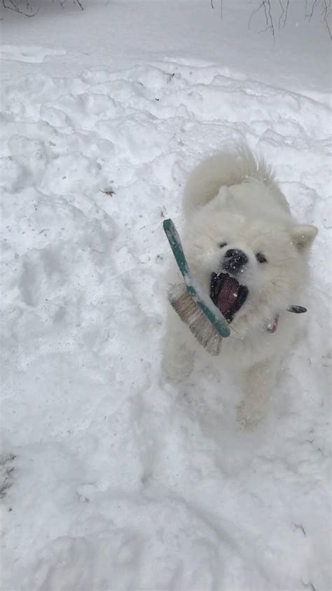 Aww Snow White Is Having Fun