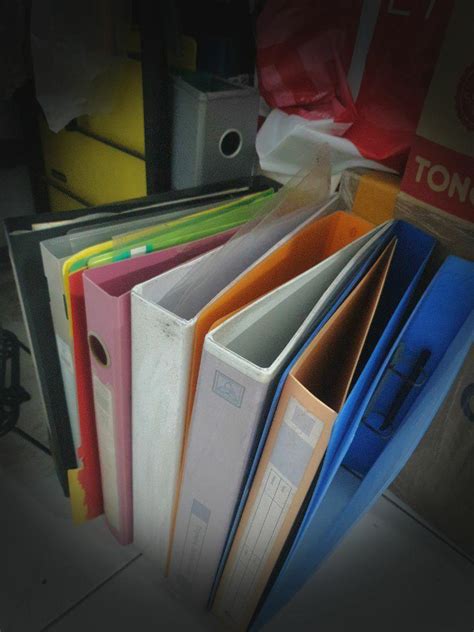 Files Dividers Plastic Dividers Hobbies Toys Stationery Craft Stationery Babe