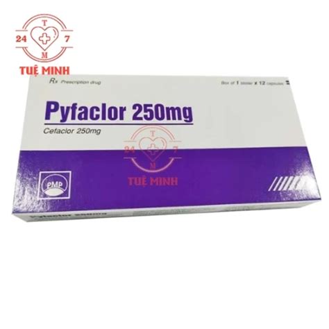 Pyfaclor 250mg Pymepharco Thuốc điều Trị Nhiễm Khuẩn