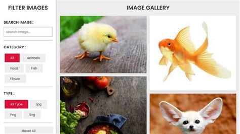 Advance Filterable Responsive Image Gallery Using Html Css And Vanilla Javascript