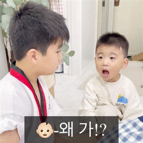 육아인플루언서 씩씩한다둥이맘 48개월아기 의 9살형아 하극상편 이 모든 원흉은 서로 도요새중국어 하겠다고 ㅎ ㅎ ㅎ 아니 ㅎ 도요새잉글리시