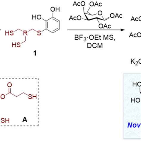 Synthesis Of Catecholsugar Structures 3 By Thiol Conjugate Addition Download Scientific