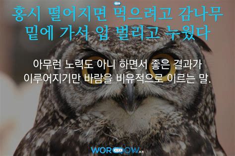 속담 홍시 떨어지면 먹으려고 감나무 밑에 가서 입 벌리고 누웠다