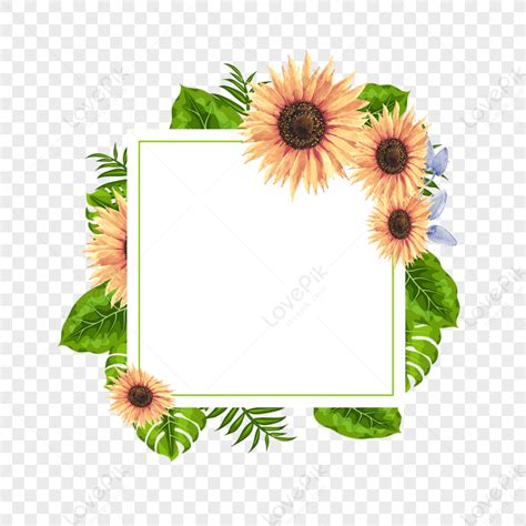 해바라기 광장 식물 꽃 일러스트 테두리 장미배너포도 수확 Png 일러스트 무료 다운로드 Lovepik