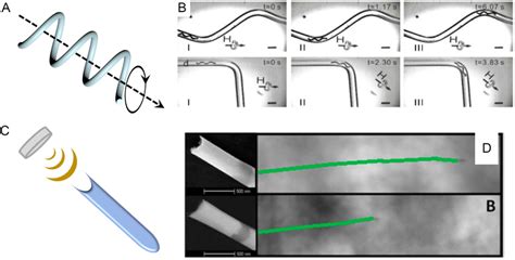 Scheme And Photos For A B Rotating Magnetic Field Propelled Helical Download Scientific