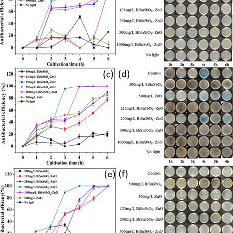 Photocatalytic Antibacterial Efficiency Of Different Materials Against Download Scientific