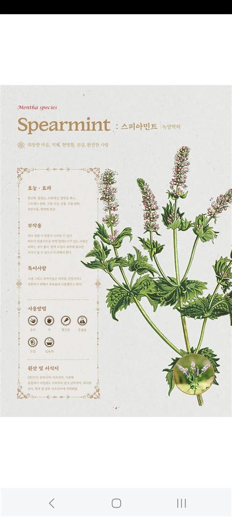 돈 복과 행운을 불러오는 상징의 황금 액자 텀블벅 크리에이터를 위한 크라우드펀딩