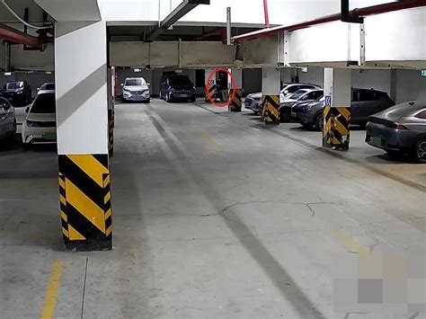 杭州城西一带多个小区地库不见了的钱，香烟和白酒，都是他干的