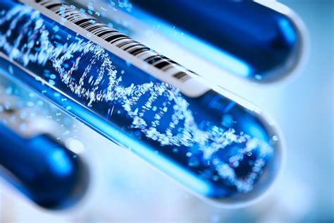 Choosing The Appropriate Dna Extraction Protocol