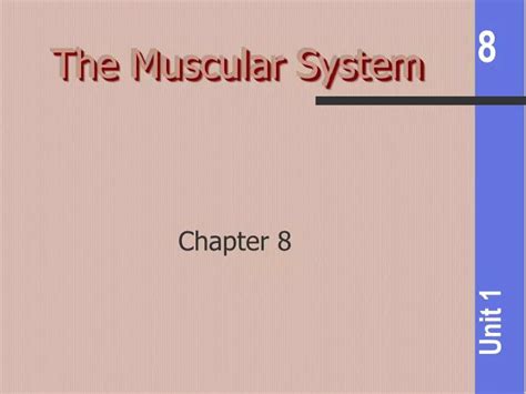 PPT The Muscular System PowerPoint Presentation Free Download ID